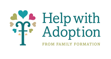 The Tummy Mummy Book Review | BirthMom Buds